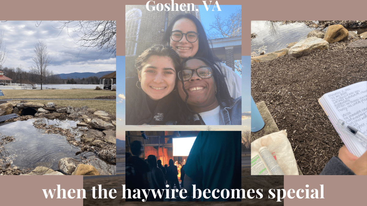 When the haywire becomes special – Studying Life with Gigi